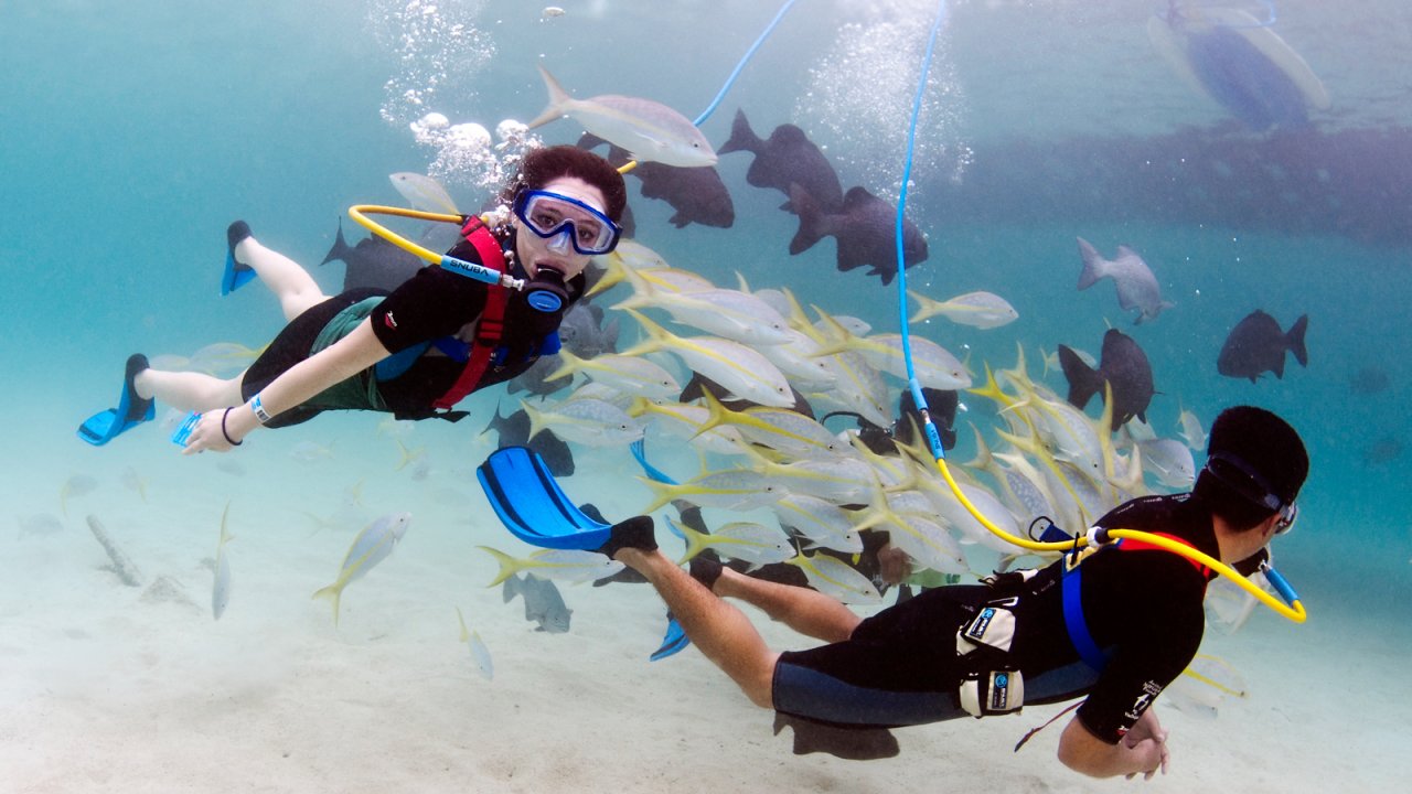 5 fun underwater activities in Montego Bay