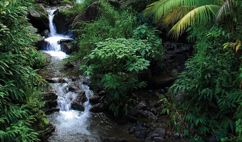 Chasing waterfalls...off the beaten path