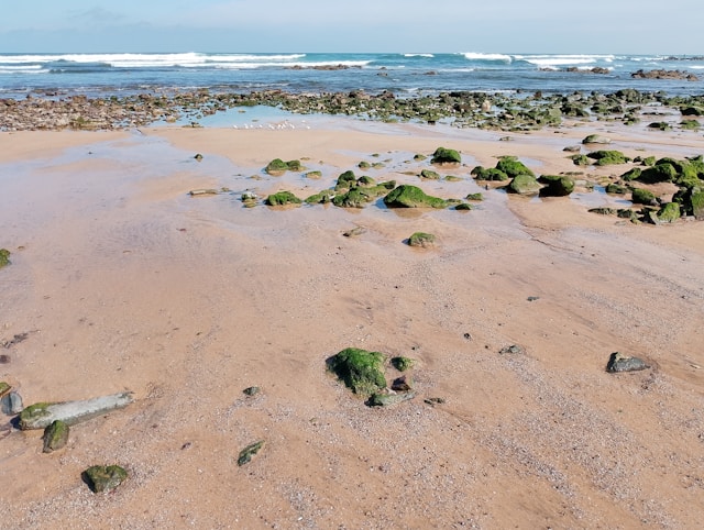 Why explore Lime Cay in Kingston
